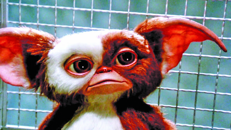 ‘Gremlins’: A different Christmas classic | News, Sports, Jobs - The ...